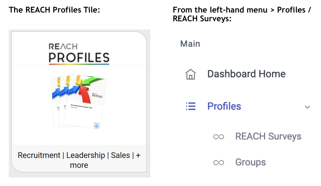 REACH Profiles – Knowledge Centre