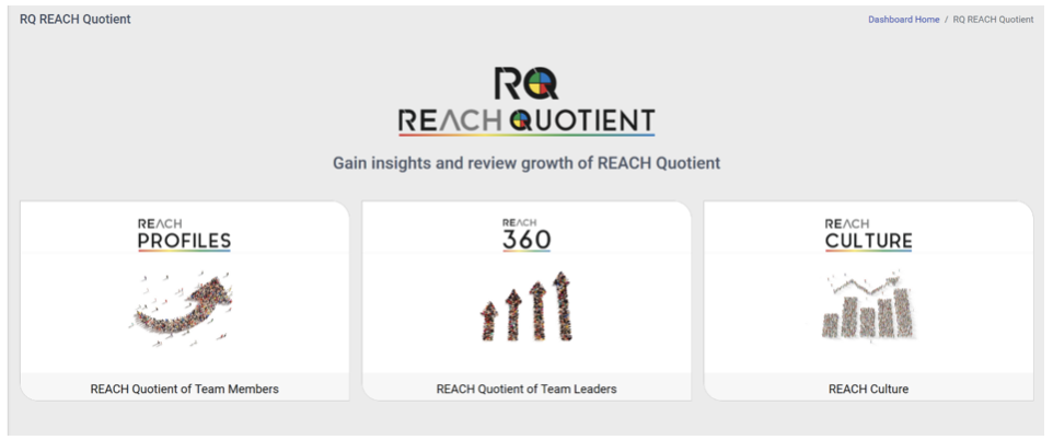 REACH Quotient Insights Reports – Knowledge Centre